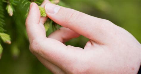 손톱 안에 왜 하얀 반달이 있어요…근데 그거 뭐지 [그거사전]