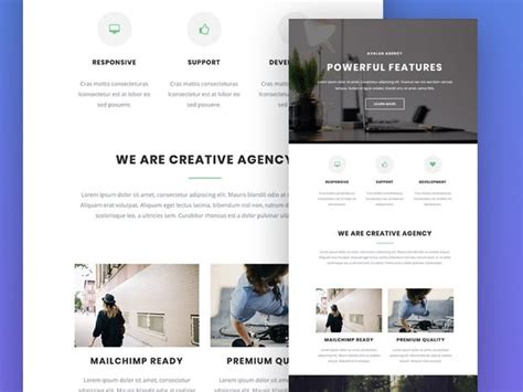 Responsive Mailchimp Email Template Upwork