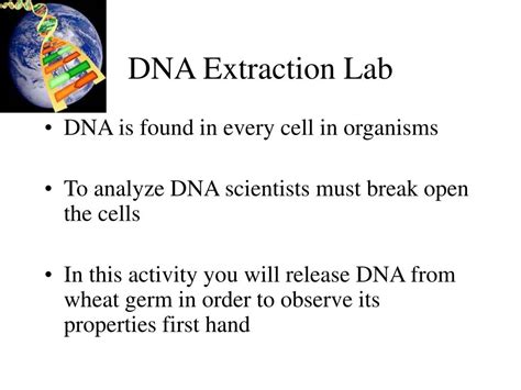 PPT DNA Extraction Lab PowerPoint Presentation Free Download ID 5623169