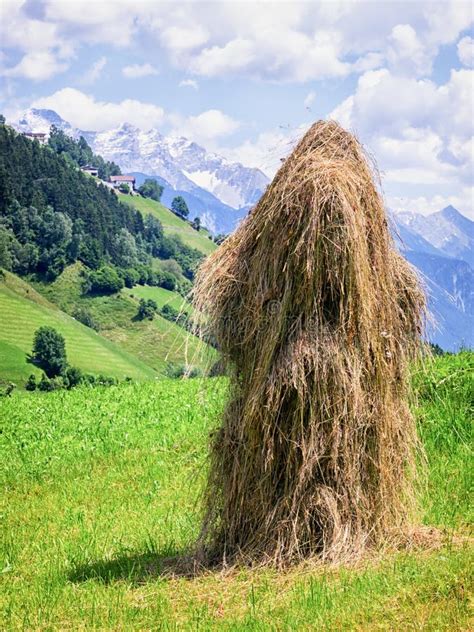 Old Fashioned Haystack Stock Photo Image Of North Historic 2876