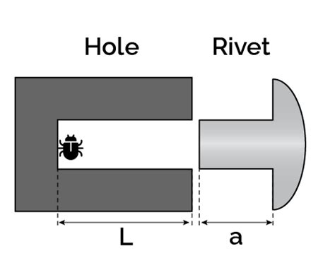 Bug Rivet Paradox