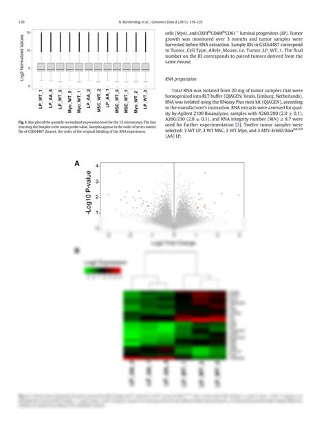 Solution Transcriptome Analysis Of Basal And Luminal Tumor Initiating
