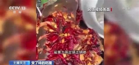 流量至上催生猎奇式吃播如何刹住吃奇之风 民生法制 河南全媒体网官网