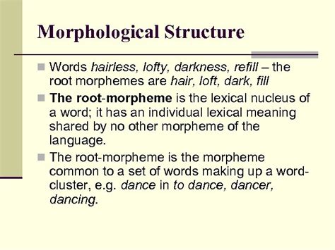 Identifying A Word Morphological Structure Of The Word