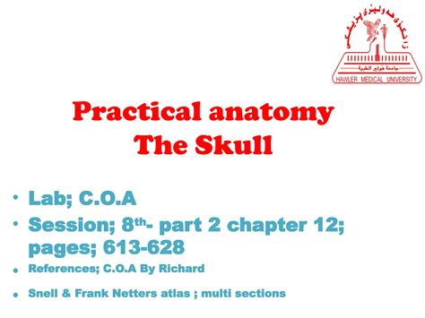 Clinical Anatomy Of The Human Skull And Associated Landmarks Pptx