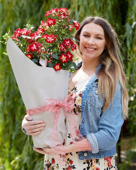 Rosa Everglow Ruby Bare Roots — Buy Red Roses Online At Farmer Gracy Uk