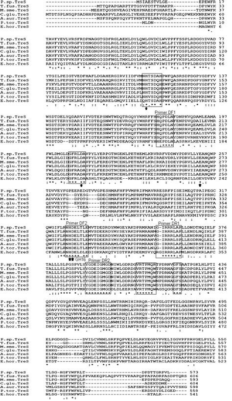 Multiple Sequence Alignment Of Tres Psptres Pimelobacter Sp R48