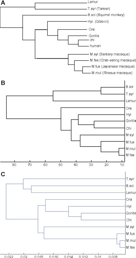 Figure 1 From A Novel Model For Dna Sequence Similarity Analysis Based