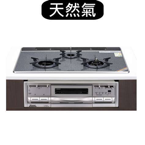 內焰嵌入式瓦斯爐 FindPrice 價格網 2023年8月 精選購物推薦