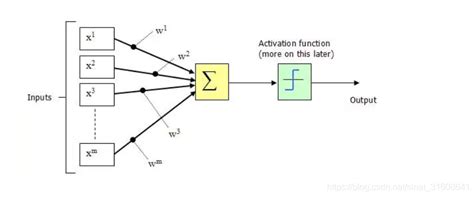 神经元模型介绍 Csdn博客