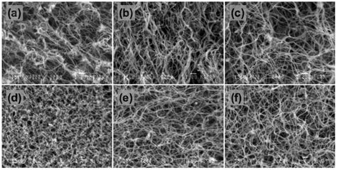 Polymers Special Issue Natural Polymers