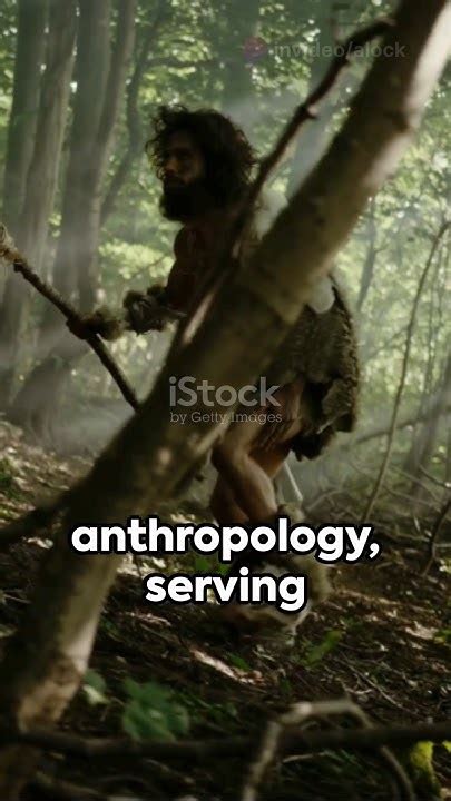 Ramapithecushuman Ancestorindian Fossilsanthropologyevolutionviral