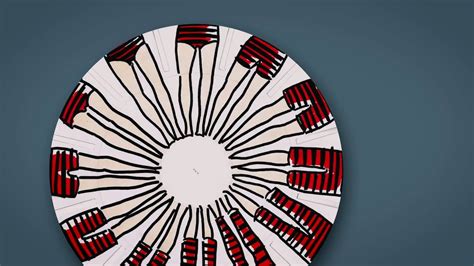 Phenakistoscope 2016 Youtube