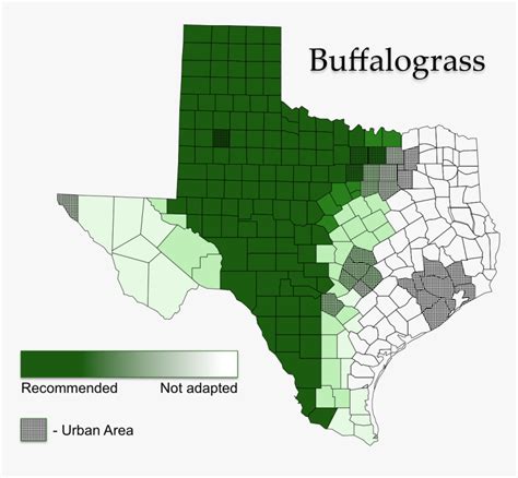 Buffalograss Map Tall Fescue North Texas Hd Png Download Kindpng