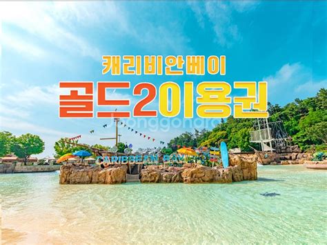 ~8 15 캐리비안베이 종일권 에버랜드 이용 여행숙박 이용권 중고나라