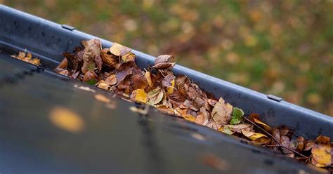A Guide To Gutter Cleaning For Different Types Of Roofs
