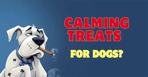 Calming Treats For Dogs Read This First