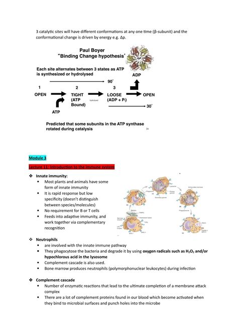 Microbes To Medicine Notes Micr221 Microbes To Medicine Otago Thinkswap