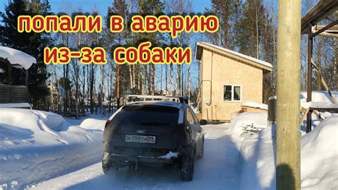 Жесть по дороге в город попали в аварию из за собачки теперь надо