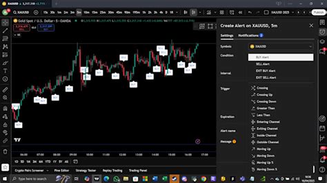 Create And Provide Pine Script For Tradingview By Martinc81 Fiverr