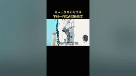 男人正在开心的洗澡，不料一只猛虎闯进浴室 Youtube