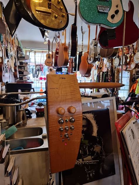 Moog Etherwave Pro Theremin Reverb