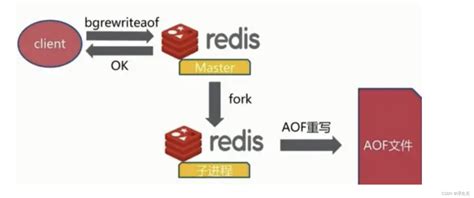 redis高可用之持久化 redis进行主从复制时会主动触发rdb吗 csdn博客