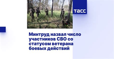 Минтруд назвал число участников СВО со статусом ветерана боевых действий