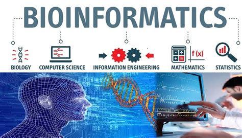 From Bioinformatics To Math Mastery An Unlikely Journey To Finding My