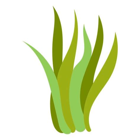 Seagrass Flat Png Design In 2023 Sea Grass Vector Shapes Things To Sell
