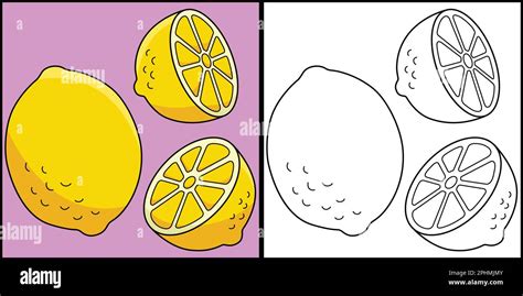 Lemon Fruit Coloring Page Colored Illustration Stock Vector Image And Art