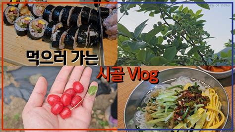현생 생존기 남이 해주는 집밥🍚 먹으려고 노동🏃‍♀️하러 가요 소고기된찌 잔치국수 부추땡초전 제육볶음 묵은지김밥