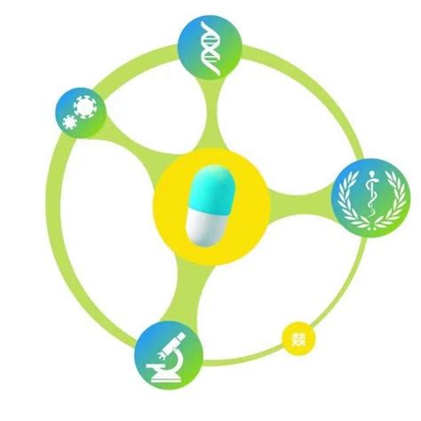 生物等效性研究的评价标准介绍药物进行案例