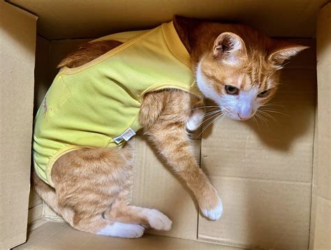 Cecil Lab（セシルラボ） こころと暮らしを豊かに