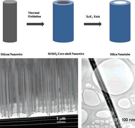 Oxidation Etching Approach To Synthesize Vertical Silica Nanotube Download Scientific Diagram