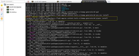 Traceback Most Recent Call Last File Usr Bin Pipenv Line