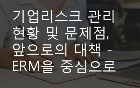 기업리스크 관리현황 및 문제점 앞으로의 대책 Erm을 중심으로 분석