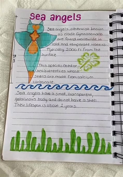 Épinglé Par 😎 Sur Marine Biology Océan Dessin