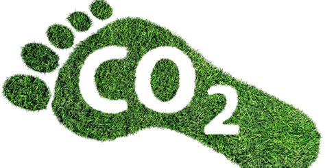 Steps To Lower Your Carbon Footprint