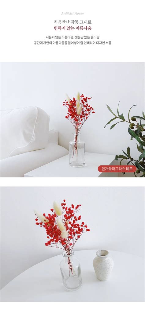 안개꽃 드라이플라워 라그라스 미니 꽃다발 말린꽃 2colors 감도 깊은 취향 셀렉트샵 29cm