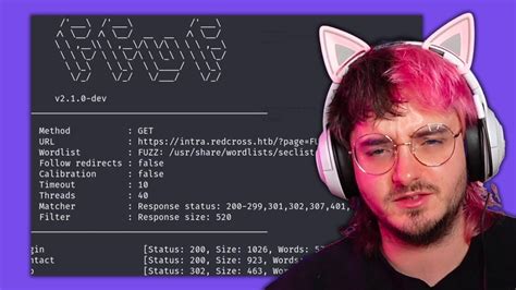 Fuzzing A Webserver With FuFF YouTube