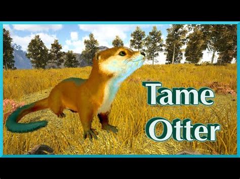 How To Tame An Otter Ark Fjordur Youtube