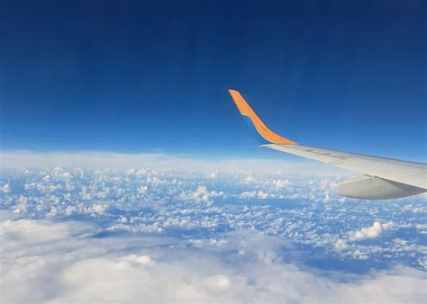 Ticking Off Your Bucket List Despite Chronic Pain Ticked Bucket List