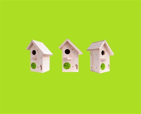 Nesting Box By Ksenia Alimova