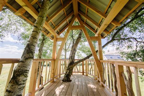 How Timber Framing Shapes The Tree Houses UK Industry Treehouse Builders UK Treehouses UK
