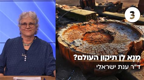 תיקון עולם שיעור 3 בבלי גיטין דר ענת ישראלי Youtube