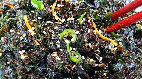 지금 떠오르는 그 맛🤩자반 무침🤩집에서 뚝딱 만들어 보세요 김자반 무침 자반김 무침 돌자반 무침 레시피 Youtube