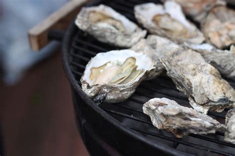 Hails Kitchen Shuck Me Suck Me Eat Me Raw