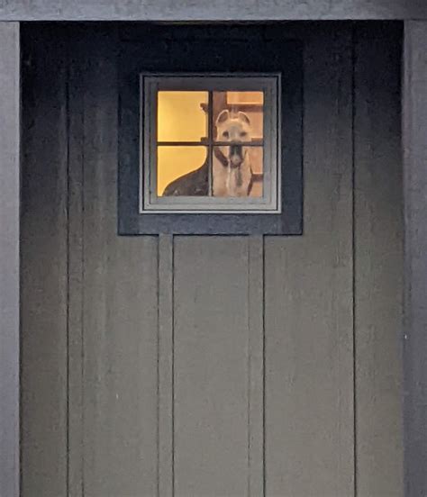 #64