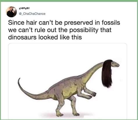Fossils Jokes At Jayden Nobbs Blog